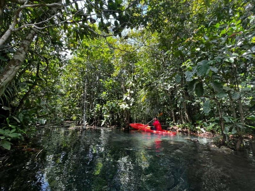 Klong Rud Kayaking with Hotel Transfer - Key Points
