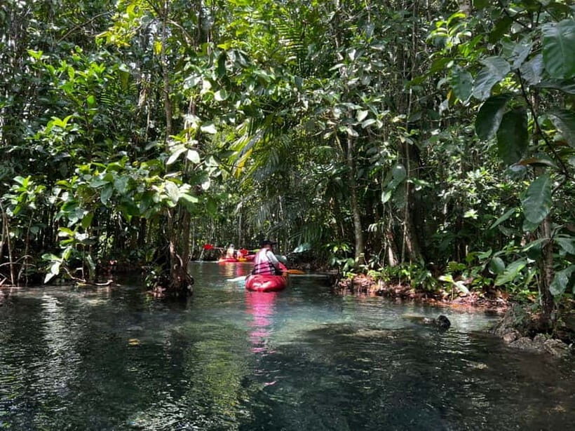 Klong Rud Kayaking with Hotel Transfer - A Calm and Scenic Escape into Nature