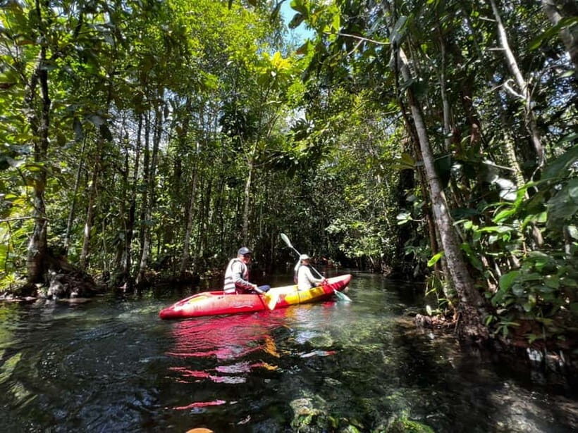 Klong Rud Kayaking with Hotel Transfer - The Experience From Real Travelers Perspectives