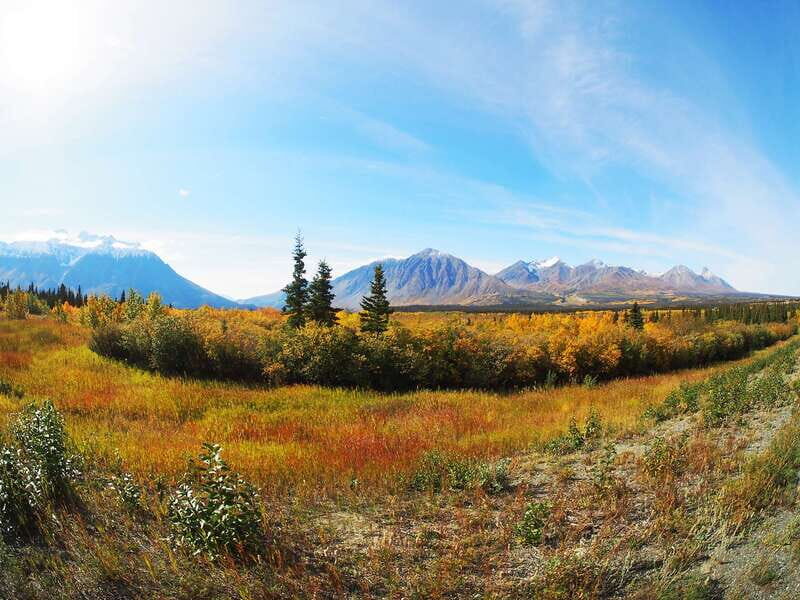 Kluane National Park: Full Day Tour - Value and Practical Considerations
