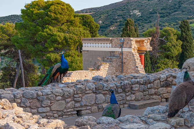 Knossos Palace Private Walking Tour - FAQ