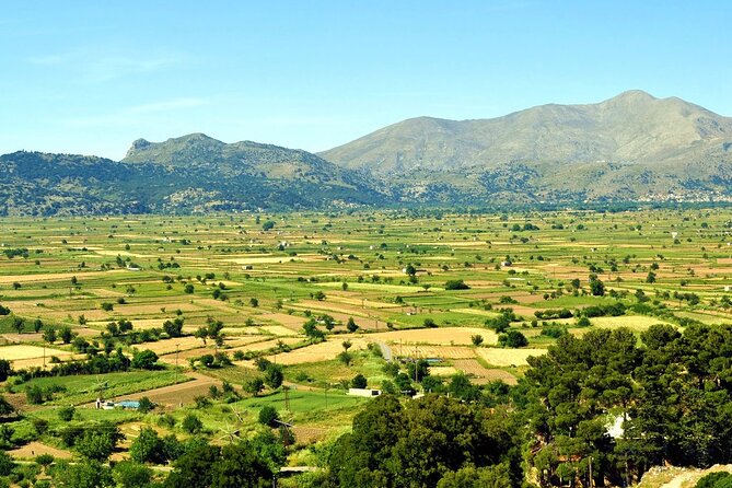 Knossos, Tracing Zeus in Mythic Landscapes & Olive Mill | Private - Key Points