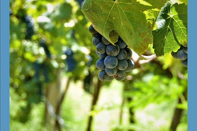 Knossos Wine & More - FAQ