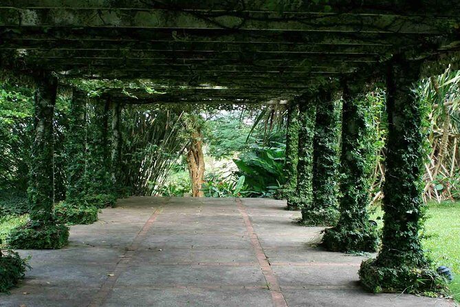 Know the Place: Montego Bay Historical Highlight and Bellefield Great House - An In-Depth Look at the Tour Experience