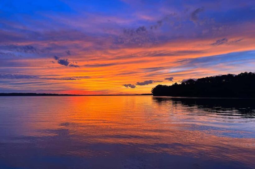 Knoxville: Sunset Sightseeing Cruise on Tennessee River - The Wildlife and Waterfront Homes