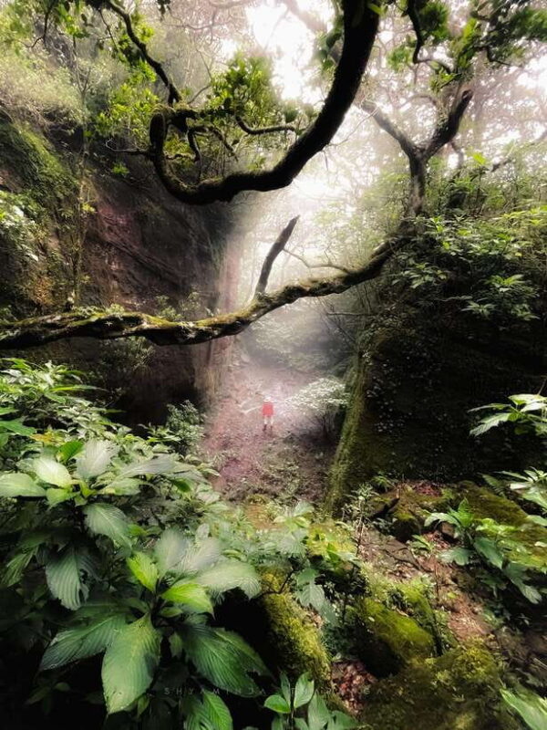 Knuckles 5 Peaks Trek (Leopard Trail) - Who Will Appreciate This Tour?