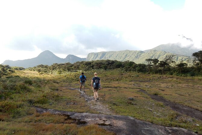 Knuckles Leopard trail Trek from Kandy - Authentic Experiences and Hidden Gems