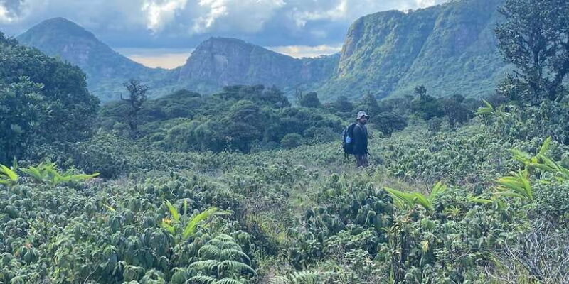 Knuckles Leopard trail Trek from Kandy - FAQs