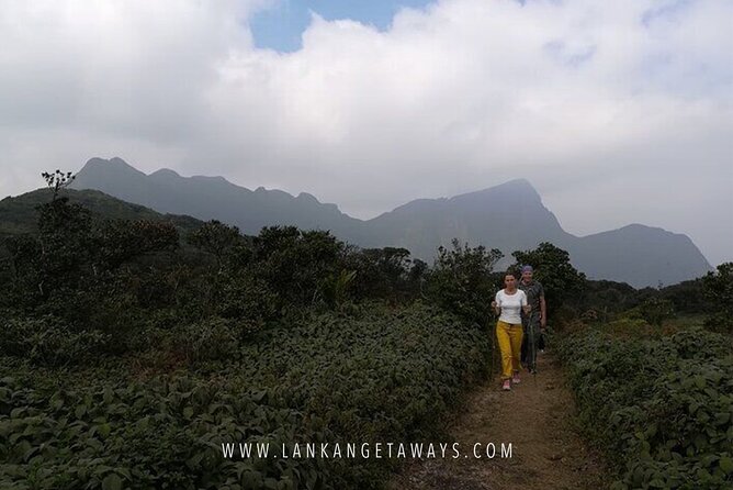 Knuckles Mountain Hiking - The Guide: Knowledge, Safety, and Friendly Service