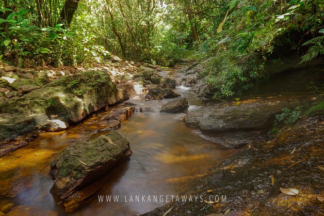 Knuckles Mountain Hiking - Practical Tips for a Successful Hike