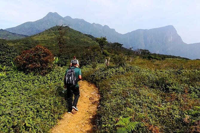 Knuckles Mountain Range Hiking and Trekking Day Tour From Kandy Hotels - An In-Depth Look at the Tour