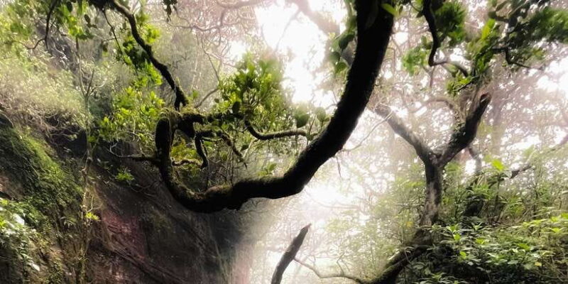 Knuckles Mountain Range: Waterfall Chain Expedition(3 Days) - FAQ