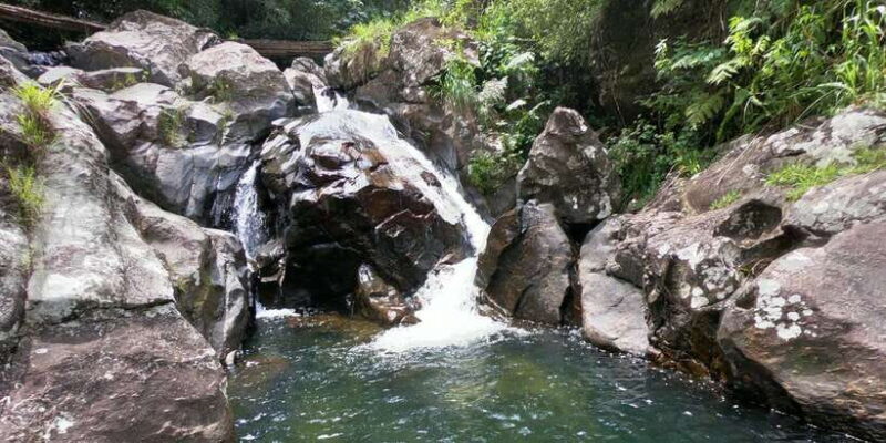 Knuckles Mountain Waterfalls Leopard trail Trek from Kandy - An Authentic Trek Through Sri Lanka’s Knuckles Range