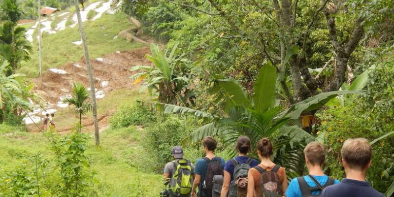 Knuckles Spice Trail Trek from Kandy - Practical Tips for Participants