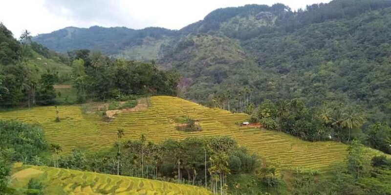 Knuckles Spice Trail Trek from Kandy - Frequently Asked Questions