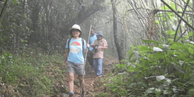 Knuckles Wilderness Waterfall Trek:Comprehensive Adventure - Practical Details and What to Expect