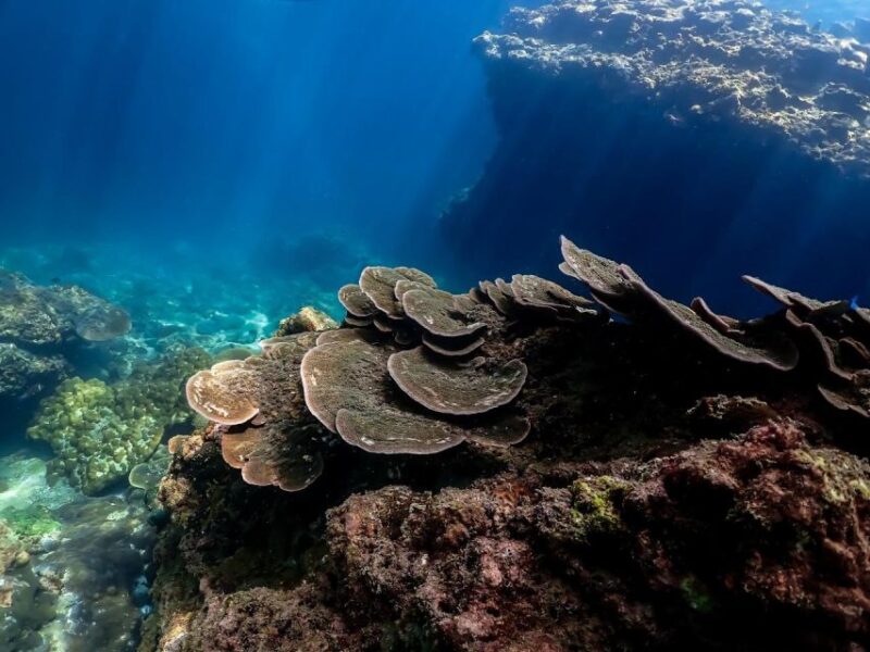 Ko Lanta: 4 Island Classic Longtail Boat Tour with Lunch - Key Points