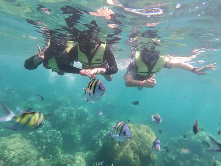 Ko Lanta: 4 Islands and Emerald Cave Day Tour by Speedboat - The Practicalities and Value for Money