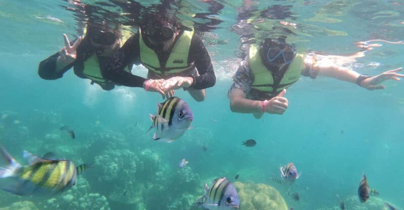 Ko Lanta: 4 Islands and Emerald Cave Day Tour by Speedboat - Who Should Book This Tour?