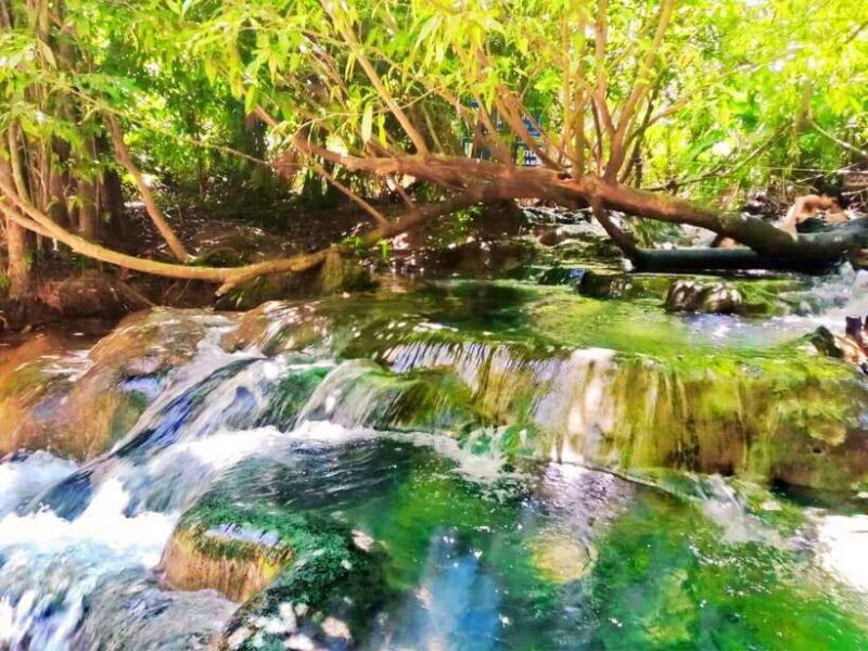 Ko Lanta: Full Day Emerald Pool&Hot Spring With Tiger Temple - Practical Tips for Travelers