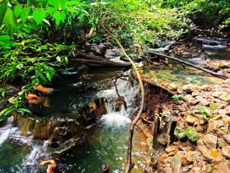 Ko Lanta: Full Day Emerald Pool&Hot Spring With Tiger Temple - Who Should Consider This Tour?