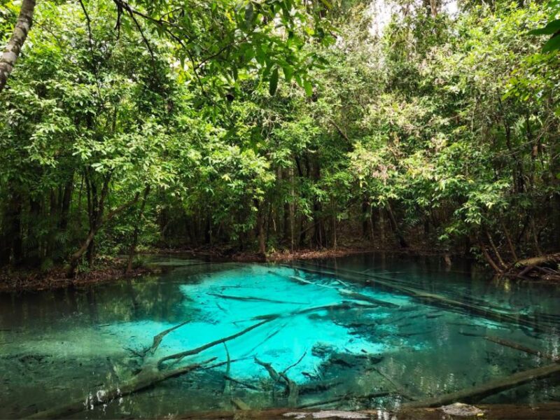 Ko Lanta: Full Day Emerald Pool&Hot Spring With Tiger Temple - Final Thoughts