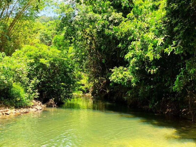 Ko Lanta: Full Day Emerald Pool&Hot Spring With Tiger Temple - FAQ Section