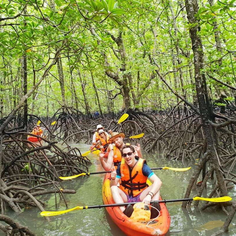 Ko Lanta: HALF DAY EXPLORE MANGROVE KAYAKING TOUR AND LUNCH - What Do Travelers Say?