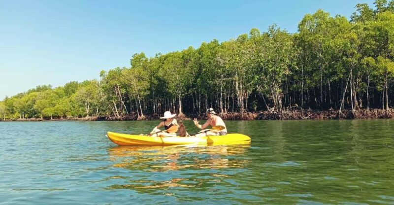 Ko Lanta: Half-Day Mangrove Eco Kayak Experience with Lunch - Why This Tour Stands Out