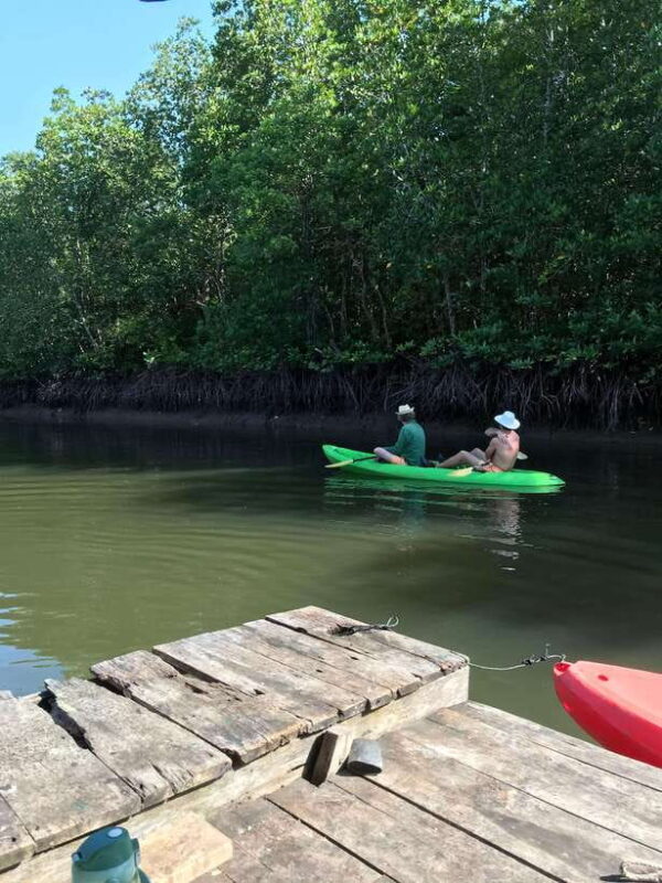 Ko Lanta: Half-Day Mangrove Kayaking Tour with Lunch - Key Points