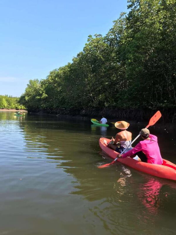 Ko Lanta: Half-Day Mangrove Kayaking Tour with Lunch - Paddling Through Mangroves