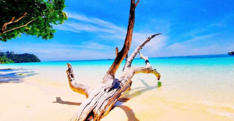 Ko Lanta: Koh Rok & Koh Haa Snorkelling Tour by Speedboat - An In-Depth Look at the Tour Experience