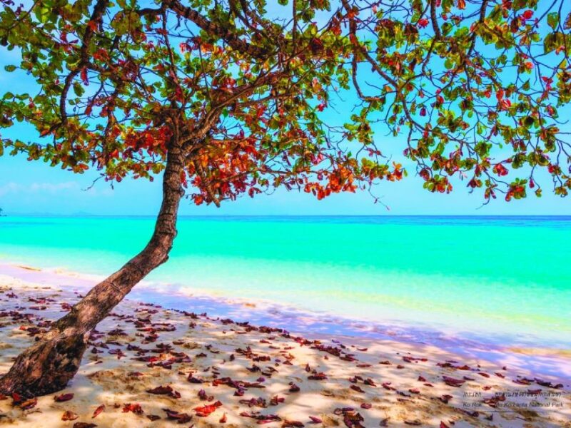 Ko Lanta: Koh Rok & Koh Haa Snorkelling Tour by Speedboat - Final Thoughts: The Value of the Koh Lanta Snorkeling Tour