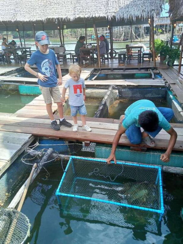 Ko Lanta: Mangrove Forest and Lanta Old Town with Lunch - Practical Details and Value