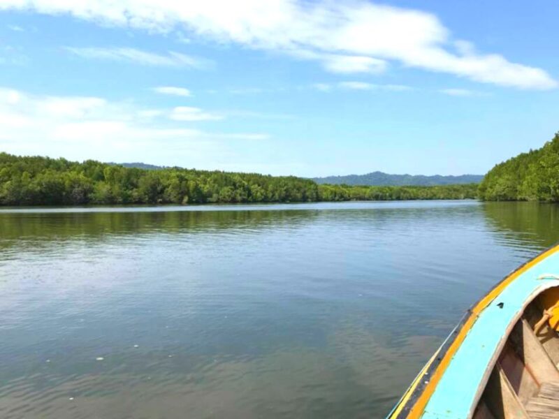 Ko Lanta: Mangrove Forest Boat Tour with Lunch or Dinner - Practical Details and What To Expect