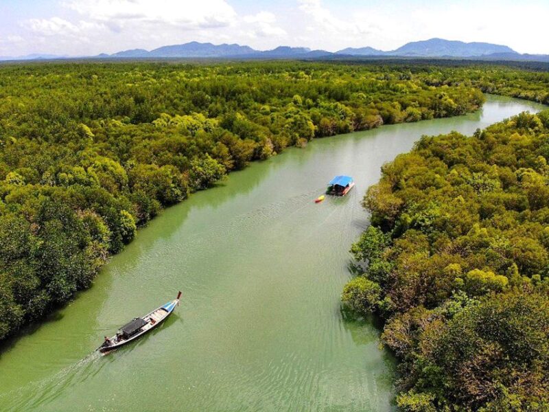 Ko Lanta: Mangrove Forest Boat Tour with Lunch or Dinner - Authentic Experiences and Honest Impressions