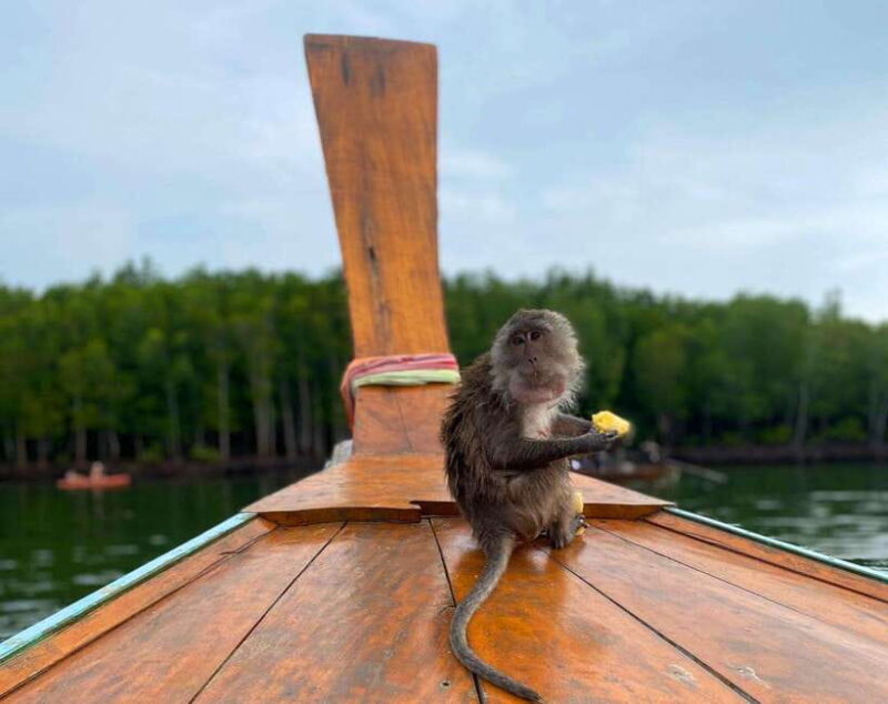 Ko Lanta: Mangrove Forest Kayak & Wildlife Adventure - The Itinerary in Detail