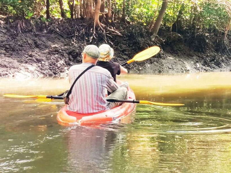 Ko Lanta: Mangrove Kayaking with Lunch and Hotel Transfer - Who Should Book This Tour?