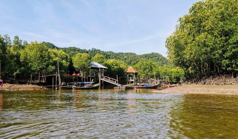 Ko Lanta: Old Town and Mangrove Forest Sightseeing Tour - Why Choose This Tour?