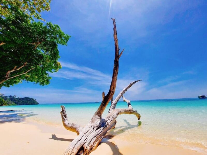 Ko Lanta: Private Longtail Rok Island Snorkeling Day Trip - Who Is This Tour Best For?