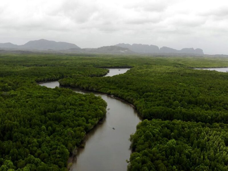 Ko Lanta: Sunrise Gondola Boat Ride with Breakfast - Practical Details for Future Travelers