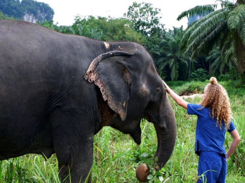 Ko Lanta Yai: Half-Day Ethical Elephant Sanctuary Tour - FAQ