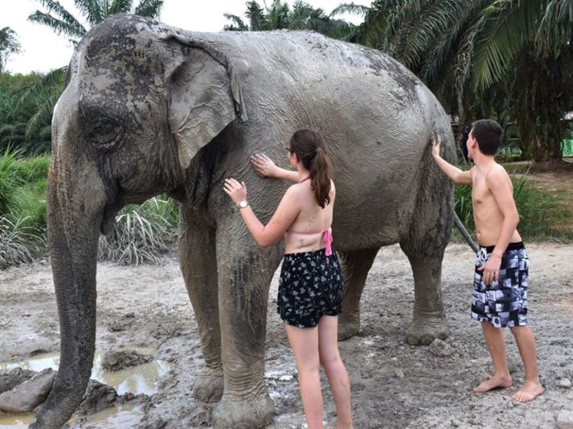 Ko Lanta Yai: Half-Day Ethical Elephant Sanctuary Tour - Final Thoughts