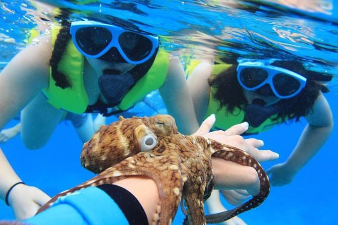 Ko Olina Catamaran Sail and Snorkel - What the Reviews Say