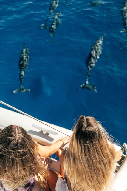 Ko Olina: Morning Snorkel - Marine Encounters: Up Close and Personal