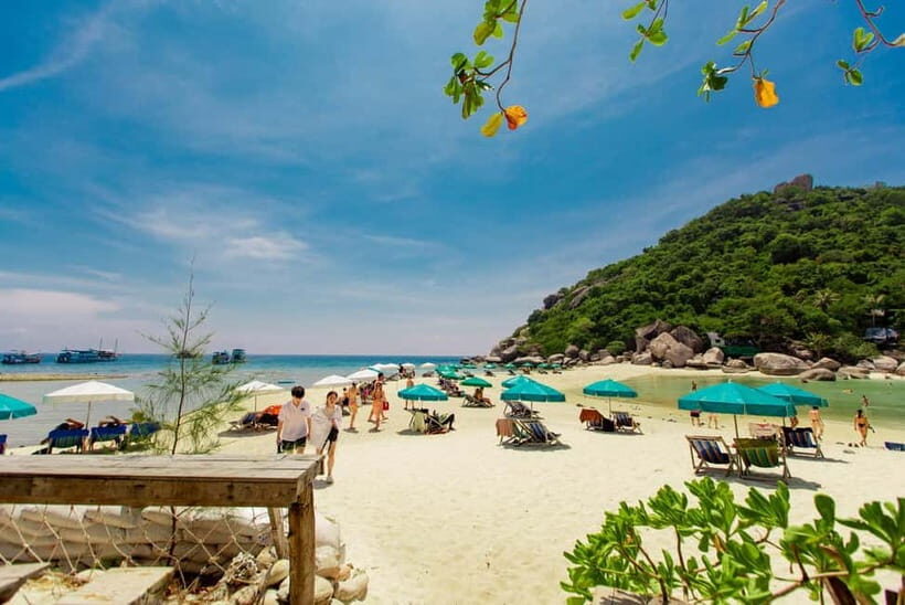 Ko Pha Ngan: Koh Tao & Koh Nangyuan Snorkeling Adventure - A Full Breakdown of the Tour Experience