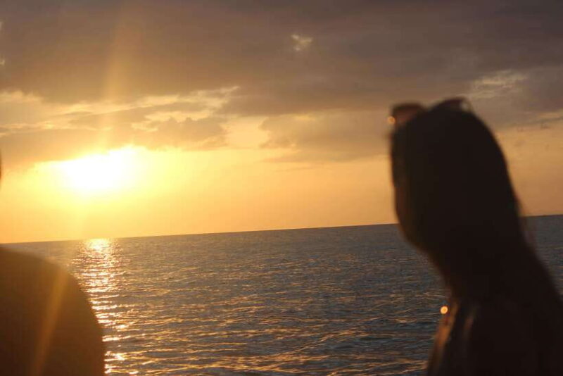 Ko Phi Phi Don: Speedboat Day Trip with Shark Snorkeling - The Itinerary: What Makes Each Stop Special