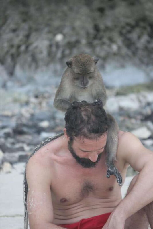 Ko Phi Phi Don: Speedboat Day Trip with Shark Snorkeling - How the Tour Runs: Practical Details