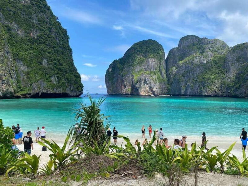Ko Phi Phi Don: Speedboat Day Trip with Shark Snorkeling - FAQ