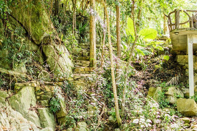 Ko Samui Full-Day Cultural Tour with Hotel Pickup and Drop Off - A Closer Look at the Itinerary
